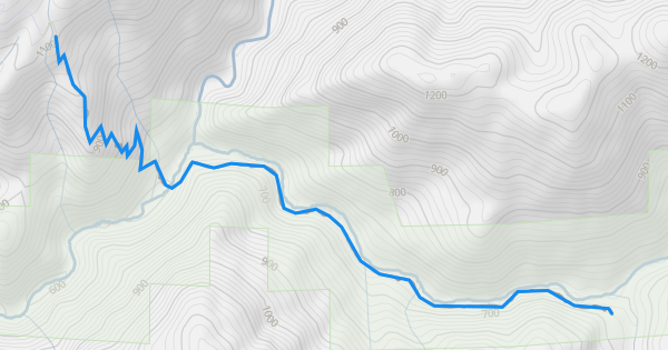 Euchre Bar Trail Hiking Trail - Foresthill, California