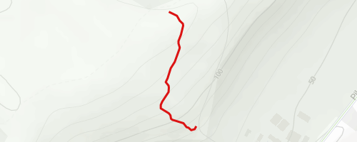 Sting in the Tail Mountain Biking Trail - cuxton
