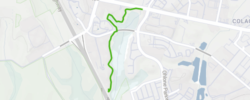 Ohlone Loop Trail Multi Trail - Watsonville, CA