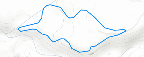 Sprague Brook Loop Multi Trail - Glenwood, New York