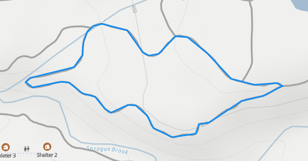 Sprague Brook Loop Multi Trail - Glenwood, New York