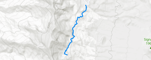 Winchell Lake Trail (North) Hiking Trail - Wells, Nevada