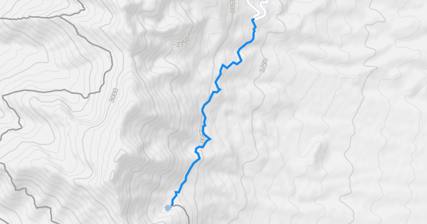 Winchell Lake Trail (North) Hiking Trail - Wells, Nevada