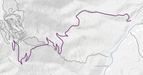 Cardrona Ski Field Road Multi Trail - Wānaka