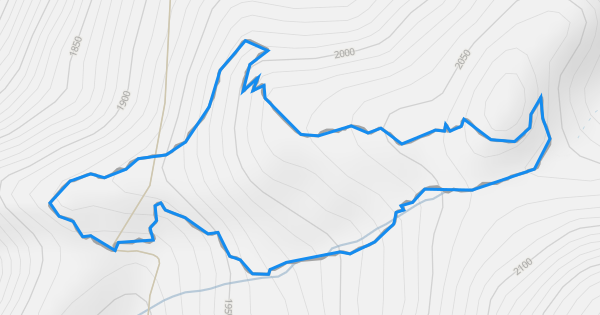 Boole Tree Trail Hiking Trail - Wilsonia, CA