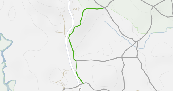 Shaw Field Trail Mountain Biking Trail - Ipswich, MA