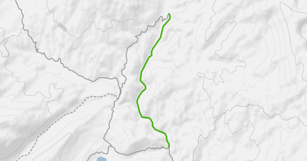 Secesh River Trail Mountain Biking Trail - McCall, Idaho