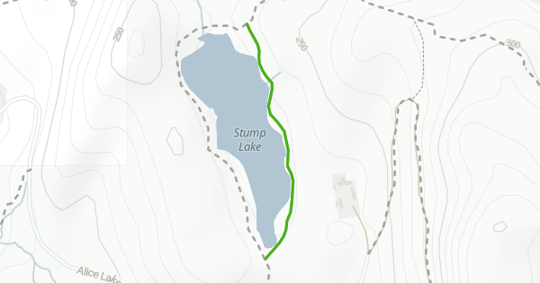 Stump Lake East Hiking Trail - Squamish, British Columbia