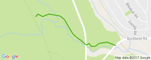 Simms Creek East Mountain Biking Trail - Campbell River