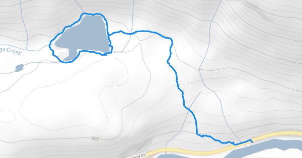 Little Lost Lake Trail #9 Mountain Biking Trail - Valemount