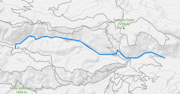 North Fork Taneum Creek Dirtbiking Trail - Cle Elum