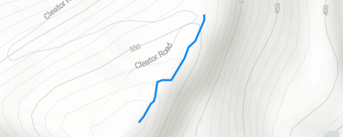 Upper Chuckanut Ridge Mountain Biking Trail - Bellingham