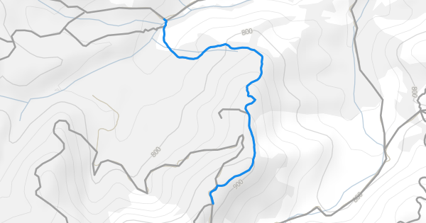 Windy Ridge Mountain Biking Trail - Cle Elum, Washington