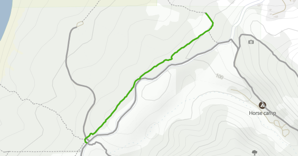 North Dune Trail Multi Trail - Los Osos, California
