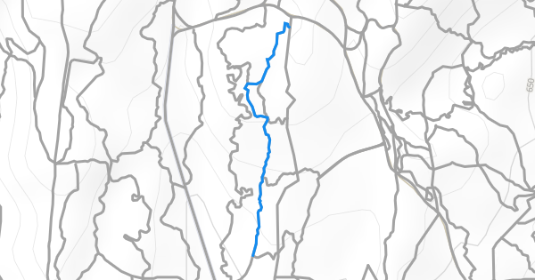 Sludge Channel Mountain Biking Trail - Naseby