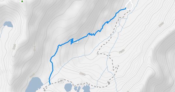 Lamoille Stock Trail Horseback Trail - Elko, Nevada
