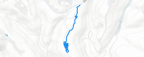 Vert de Leon Mountain Biking Trail - Hazelbrook