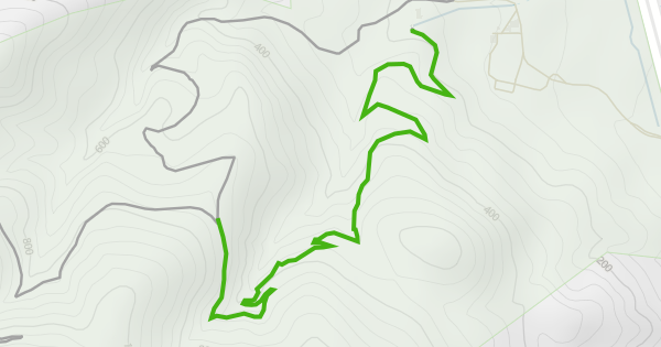 Lower Mount Burdell Trail Hiking Trail - Novato, CA