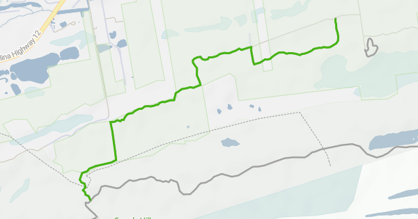 Buxton Woods Preserve Trail Multi Trail - Ocracoke