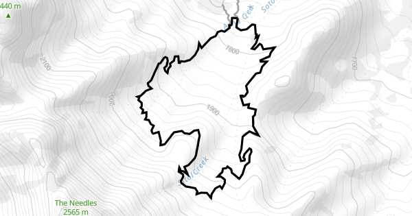 Pine Tree Loop Hiking Trail - Las Cruces, New Mexico