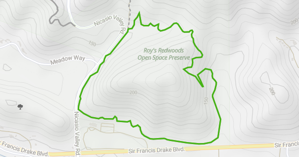 Roys Redwoods Loop Trail Hiking Trail - Woodacre, CA