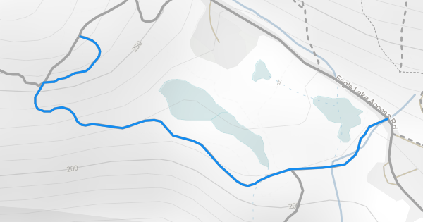 Godman Ridge Trail Hiking Trail - West Vancouver, BC
