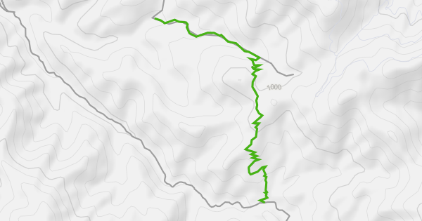 Peavine Pinnacle Multi Trail - Wenatchee, WA