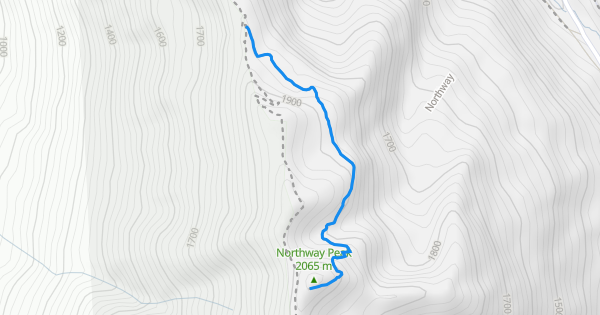 Northway Loop Trail Hiking Trail - Greenwater, WA