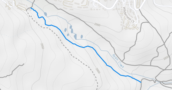 Ryan Creek Trail Hiking Trail - Silverthorne, CO