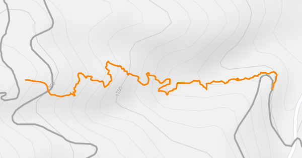 Future - Vanocker Canyon Multi Trail - Sturgis, SD