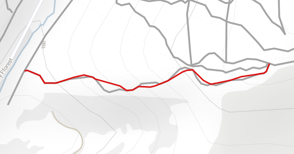 Ganol DH Mountain Biking Trail - Tongwynlais