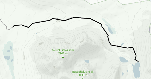 Mt Fitzwilliam (1st camp to alpine) Hiking Trail - Valemount