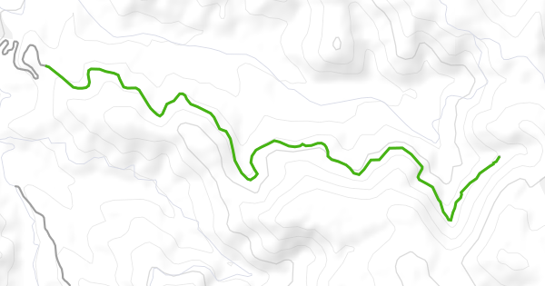Richards Tramway Walking Track Hiking Trail