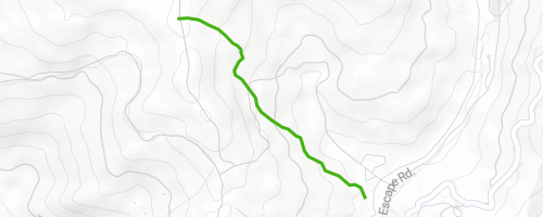 Dool Trail Hiking Trail - Boulder Creek, CA | Trailforks