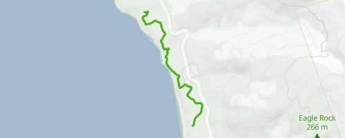 Kortum Trail Hiking Trail - Bodega Bay, California