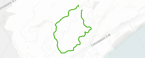 Wildman South Single Track Dirtbiking Trail - Tiny