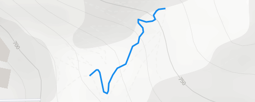 Cardinal Run Mountain Biking Trail - Coeur d'Alene, Idaho