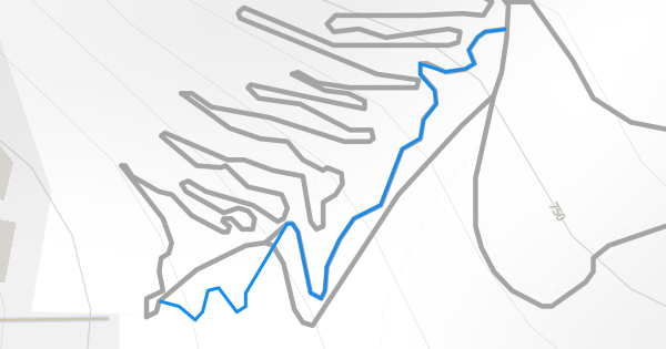 Cardinal Run Mountain Biking Trail - Coeur d'Alene, Idaho