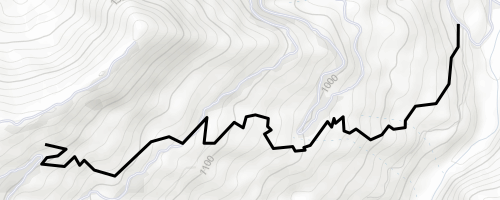 B3P (Buker Penny Pine Plantation) Mountain Biking Trail - Fort Jones, CA