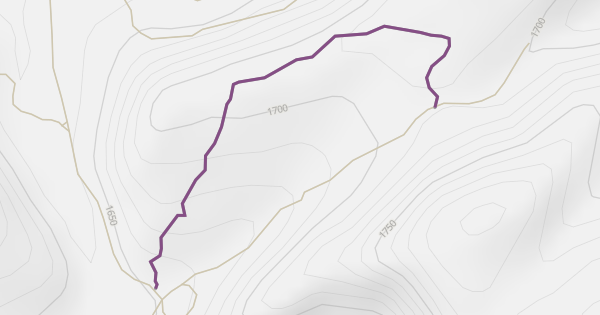 Little Gillam Draw Overlook Trail Mountain Biking Trail - Meeker, CO