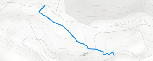 Minas del Rey Barbol San Quirce Multi Trail - Guardo