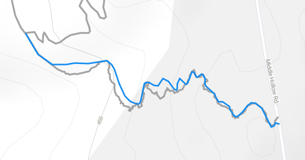 Valley of the Ferns Mountain Biking Trail - Rochester