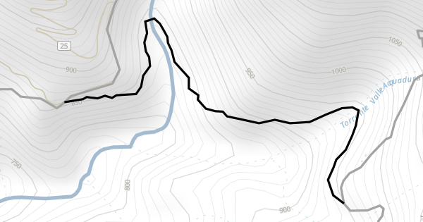 Canale di Daggio - Alpe Piancagianni Multi Trail - Barzio