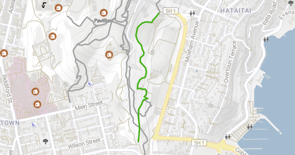 Hataitai Park Mountain Biking Trail - Wellington