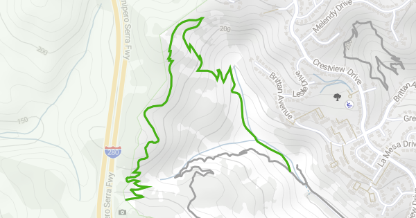 Dusky Footed Woodrat Trail Hiking Trail - Redwood City