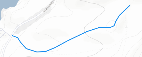 Old Faithful Trail Hiking Trail - State College, PA