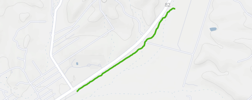 Patagonia Train Track Trail Mountain Biking Trail - Patagonia, AZ