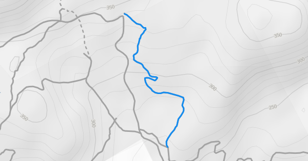 Upper Flovid 19 Mountain Biking Trail - Andover, NH