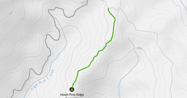 Heath Pine Ridge Trail Multi Trail - Brevard, NC