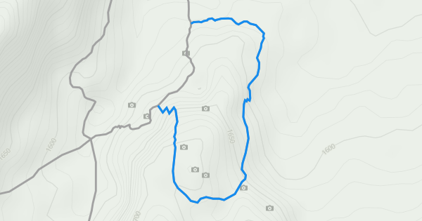 Top Rock Loop Hiking Trail - Jacob Lake, Arizona